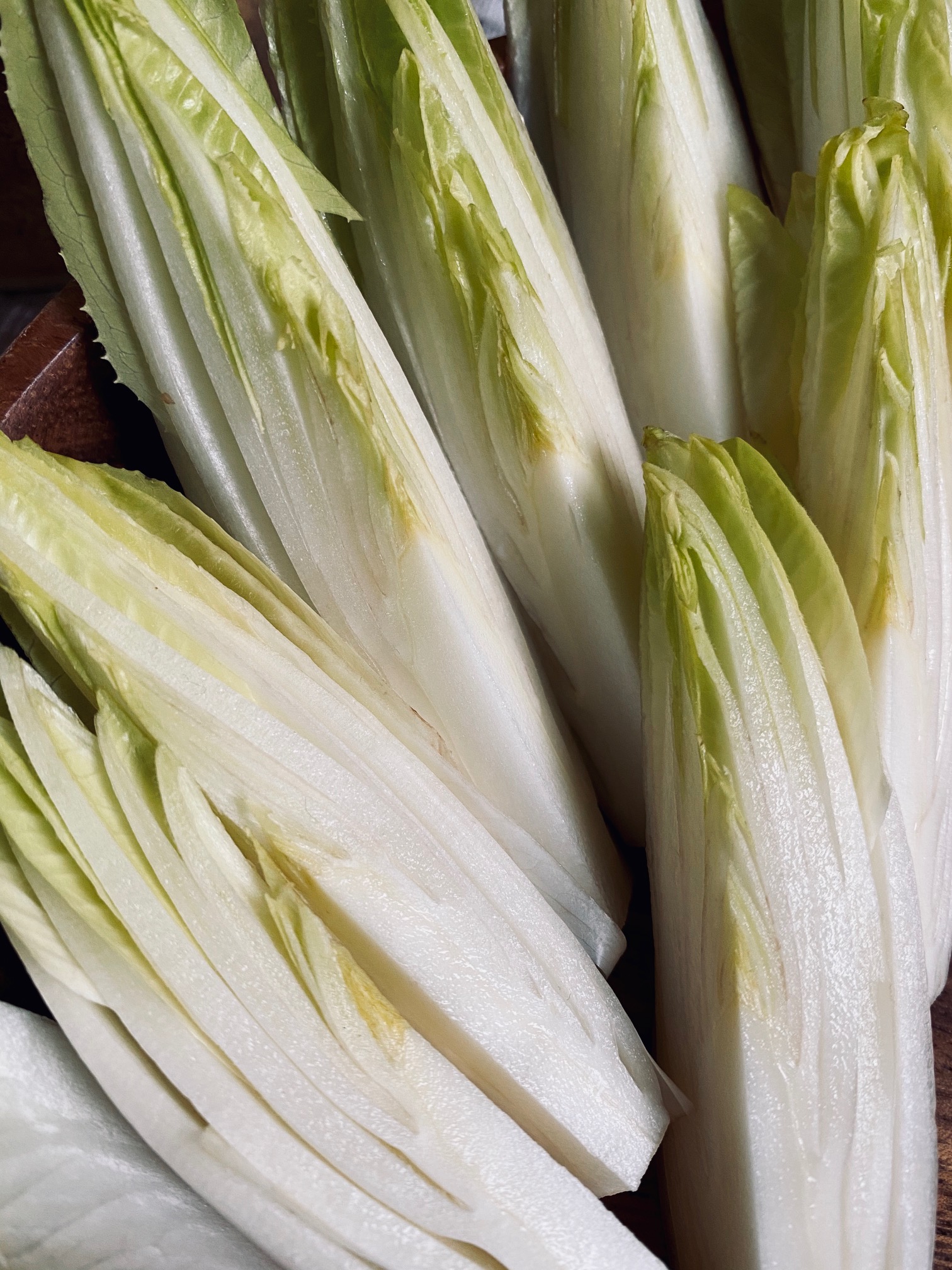 Chicory with a Jersey Cream Dip – Plot & Lane
