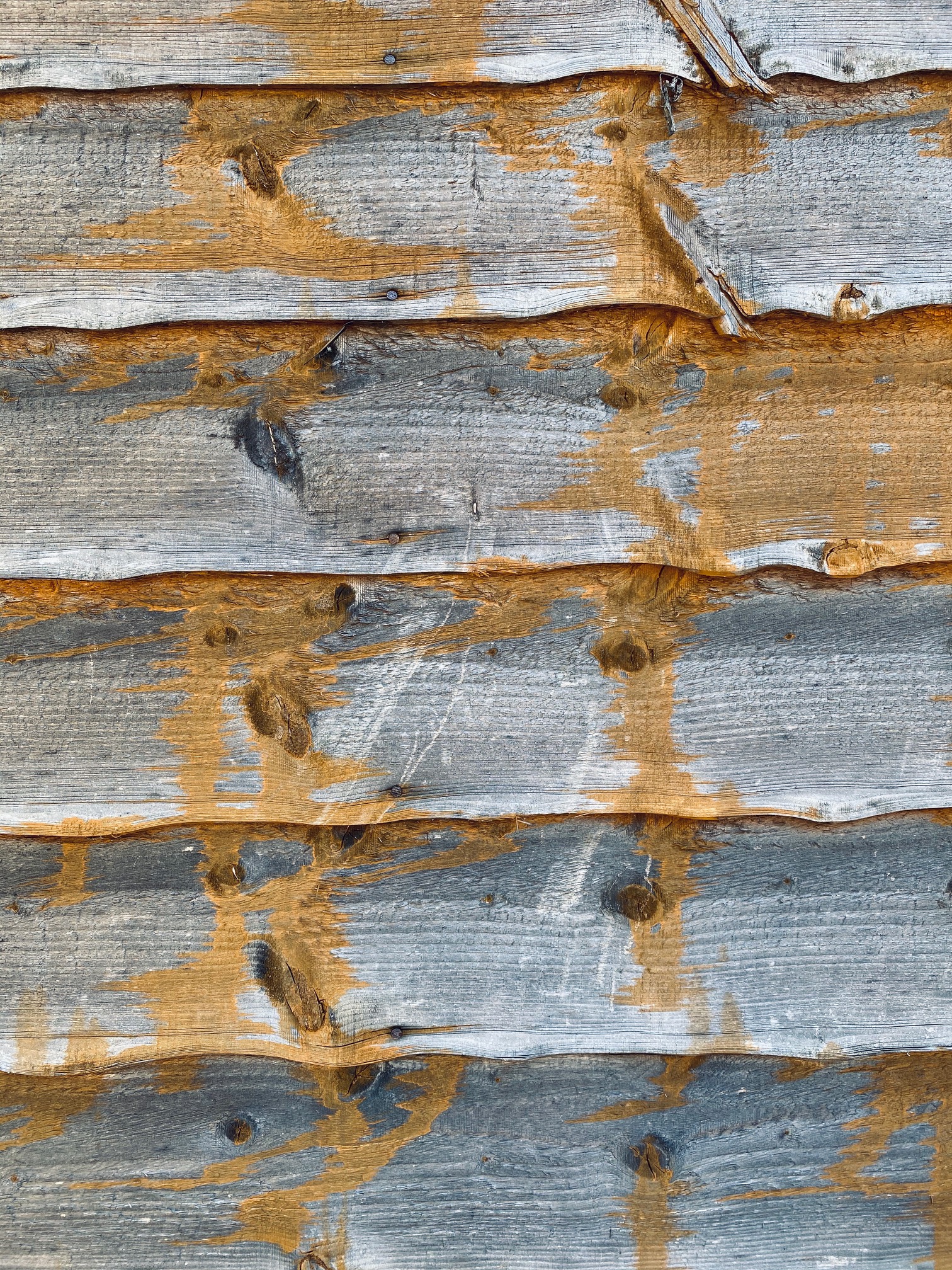 Our Lockdown Garden Makeover – Plot & Lane