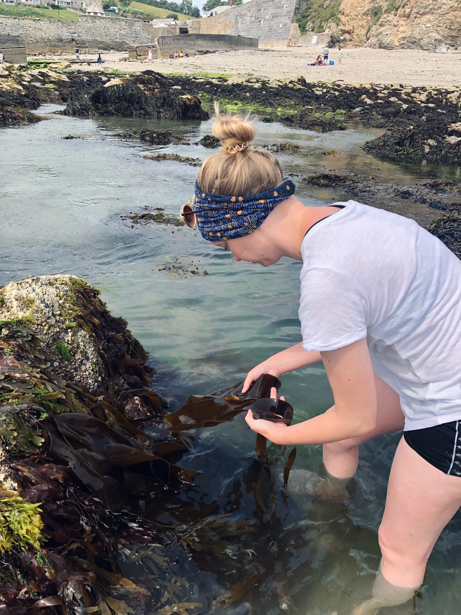 A Coastal Forage: Gathering Seaweed – Plot & Lane